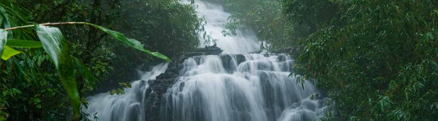 Discover Pathanamthitta: CHUTTIPARA , PATHANAMTHITTA