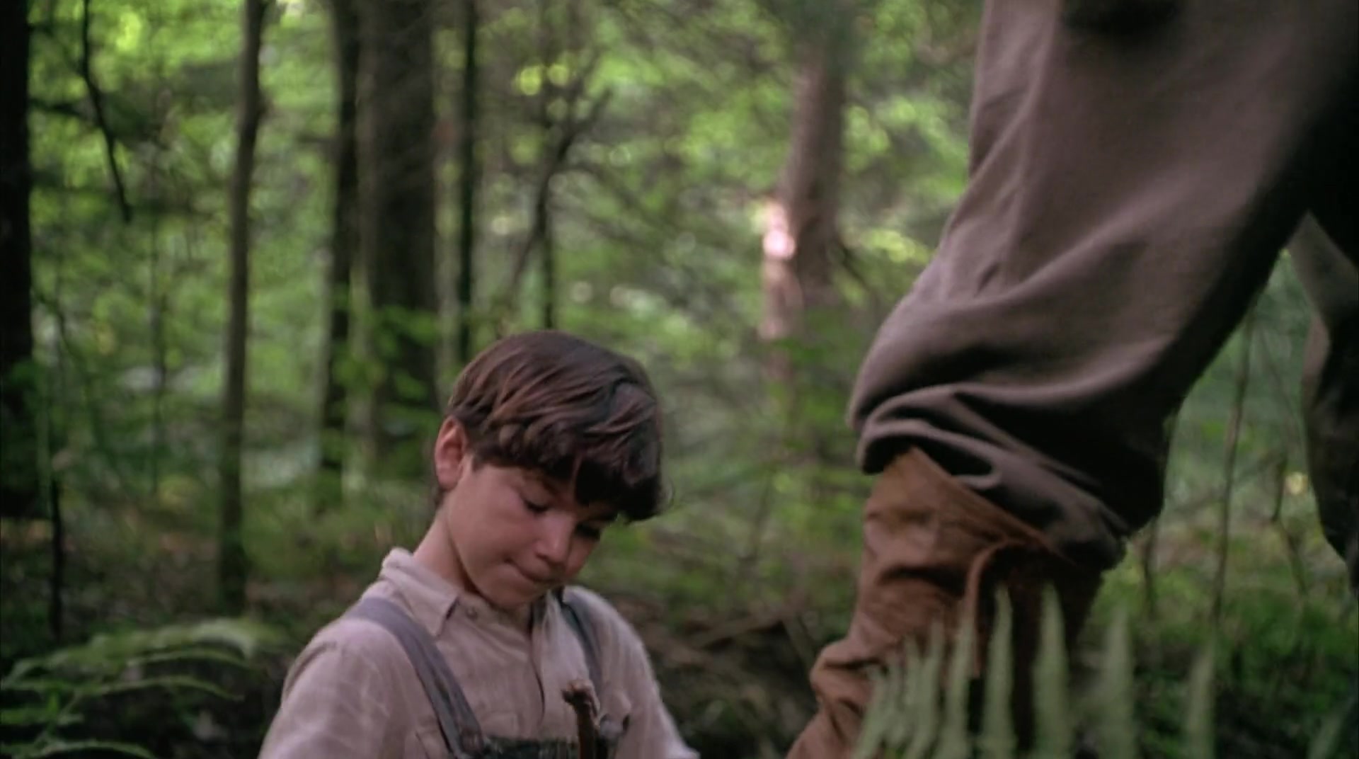 Personal Blog: The Education Of Little Tree 1998