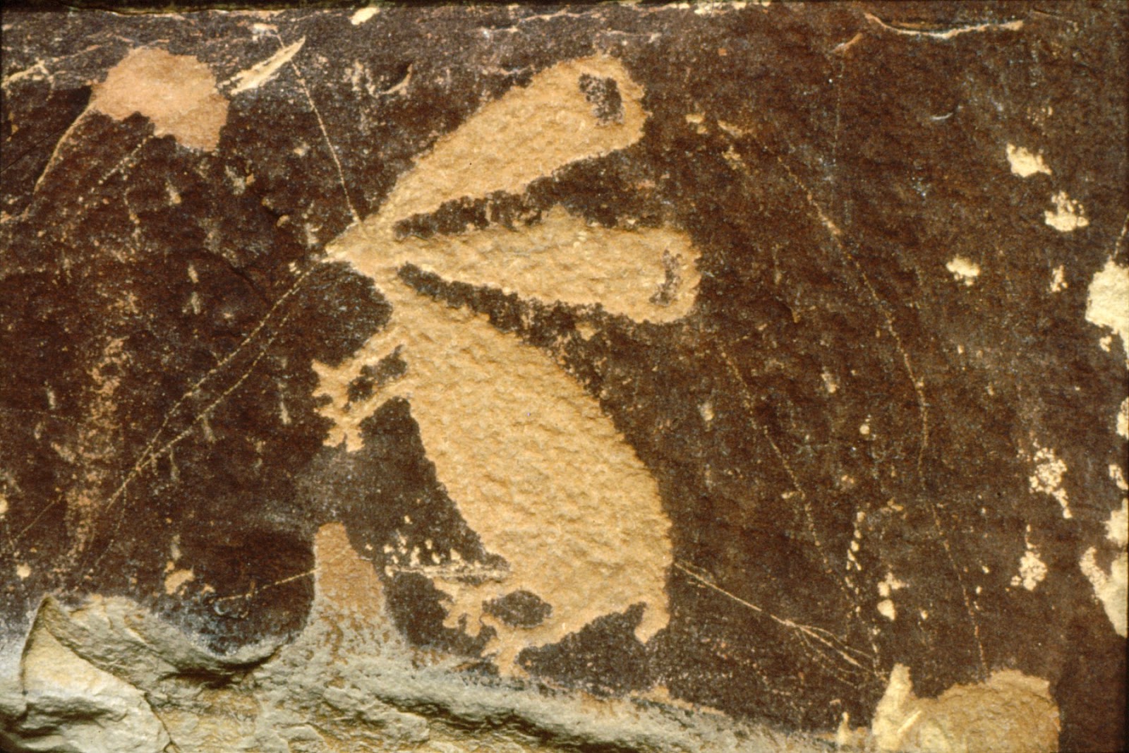Rock Art Blog: HOPI CLAN REGISTERS AS A ROCK ART LEXICON FOR THE ...