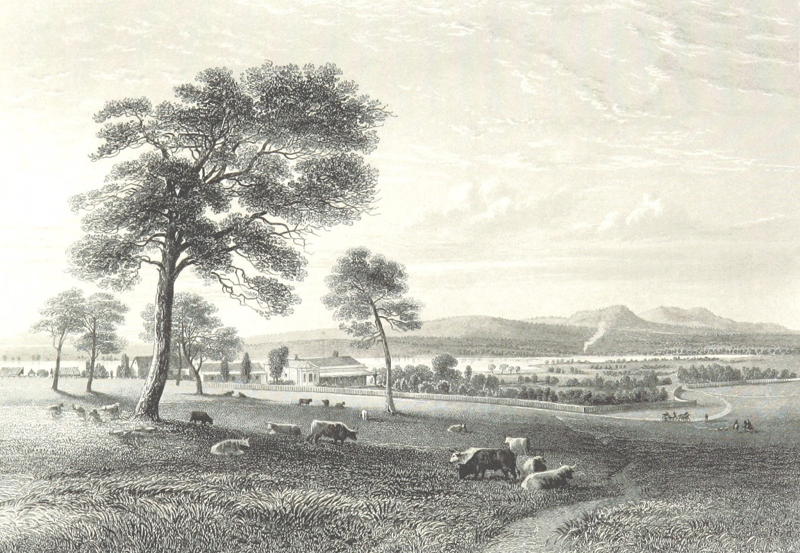 Lake Colac, Victoria - c. 1870's Engraving of a Drawing by Nicholas ...