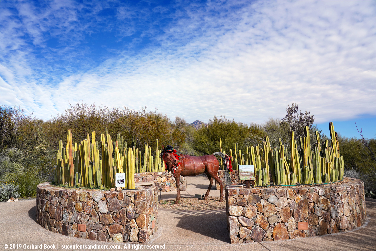 Tohono Chul really is one of Tucson's best-kept secrets for desert ...