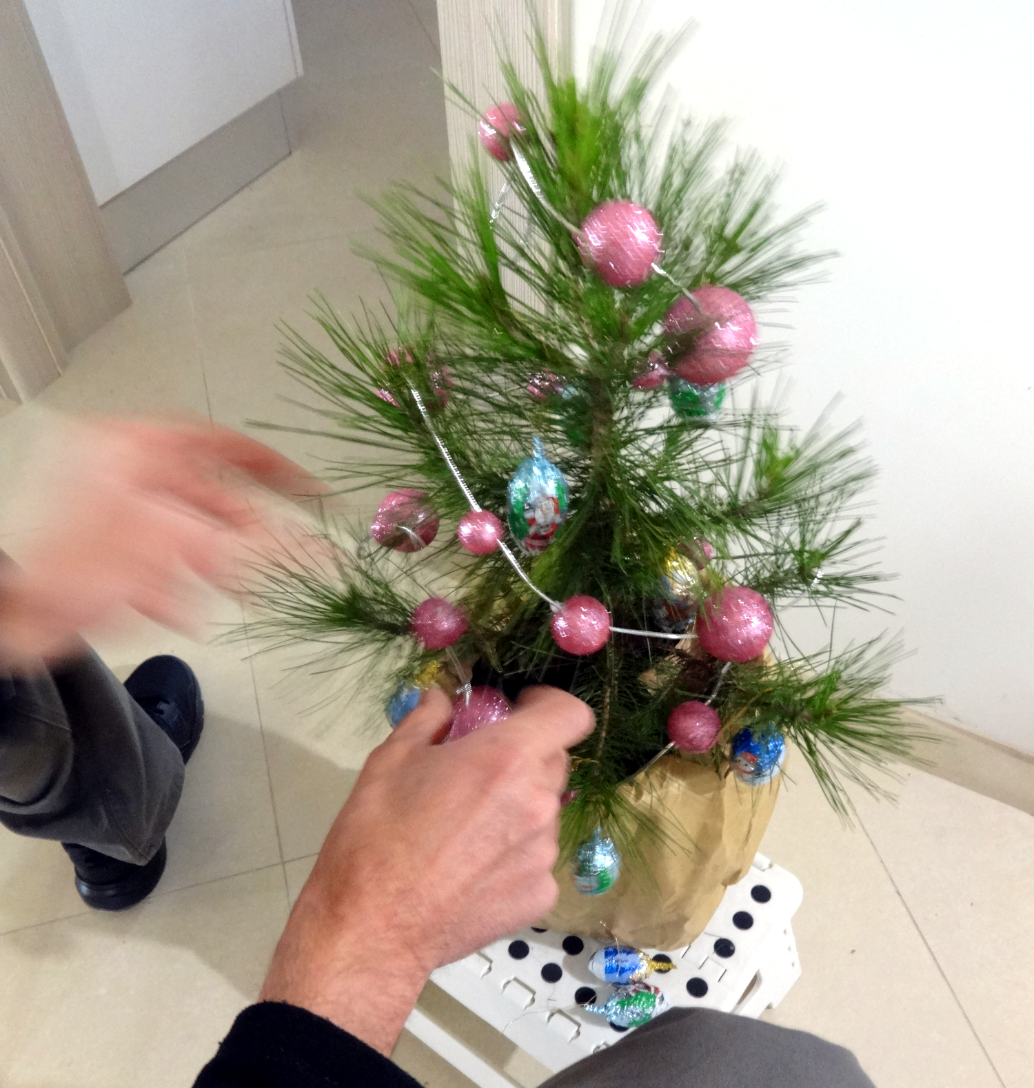 Ovillo de Eli: Nace una Tradición - Pinito de Navidad 2020