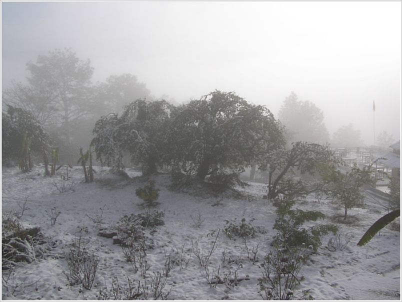 Kunsi Ashram Photo Album | Purusha at Maharishi Ashram - Kunsi ...