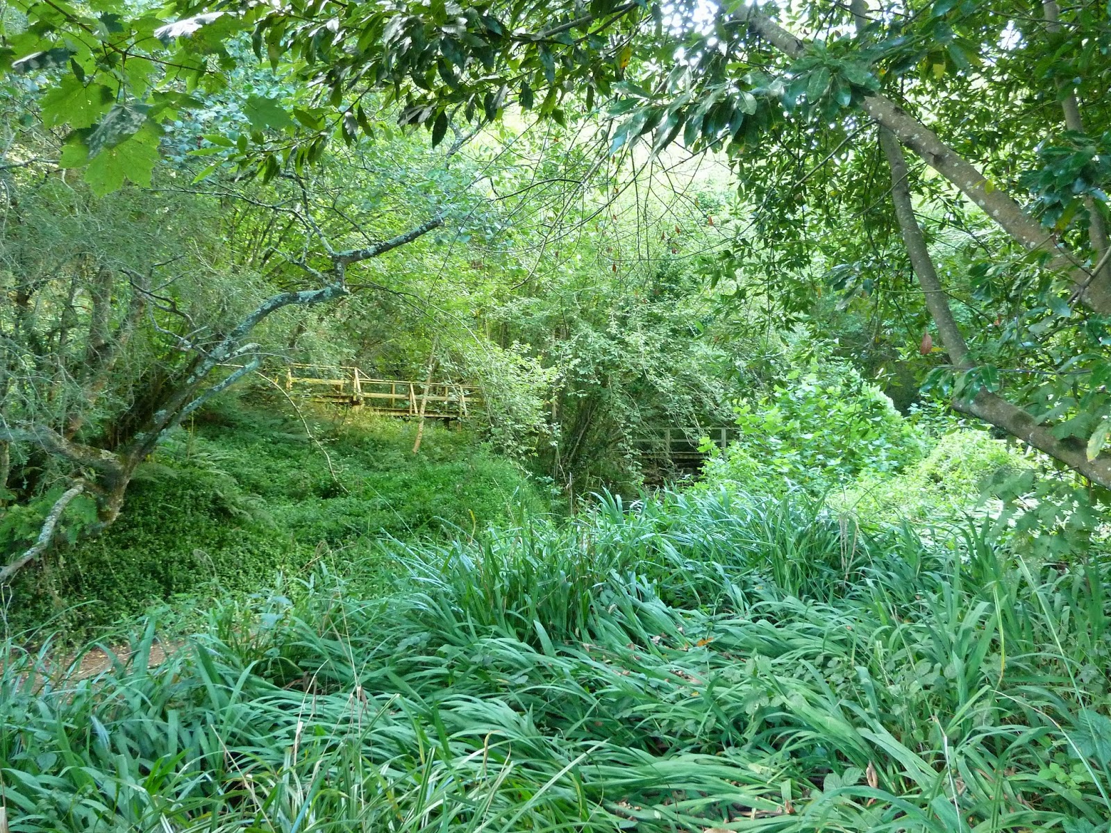 en la buena senda: Senda del Nansa