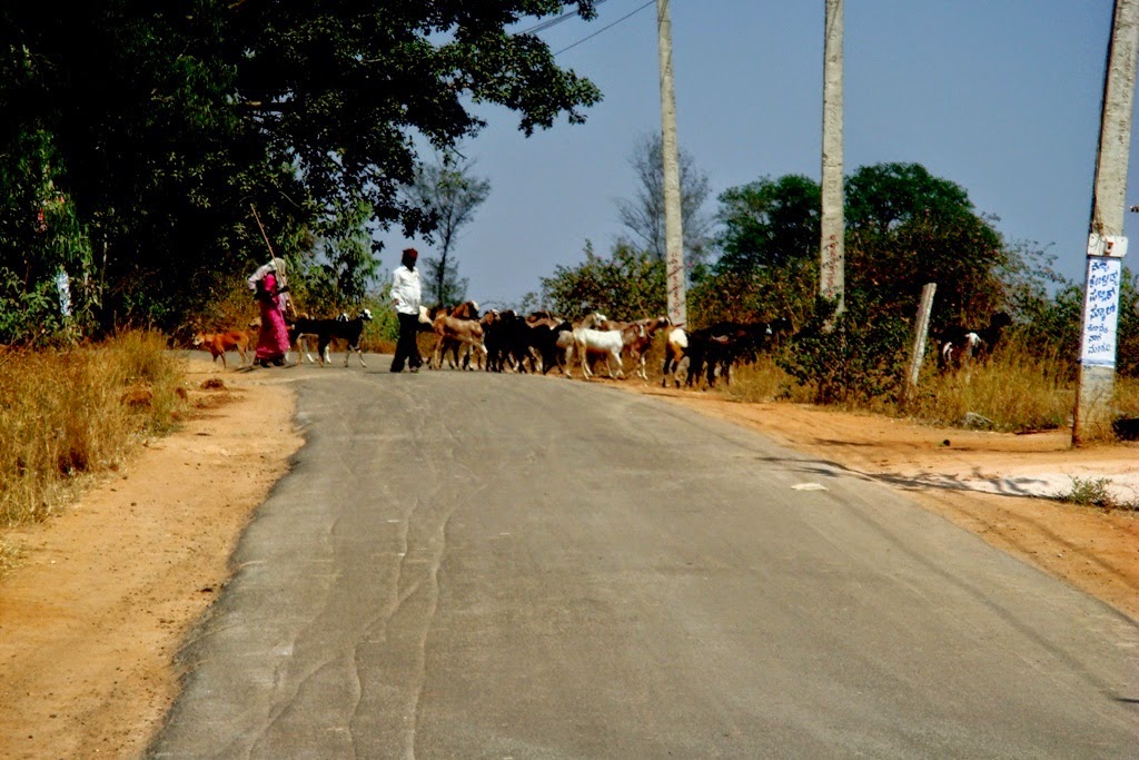BENGALURU ALBUM: Images from Dodda Nagamangala : Bangalore Rural ...