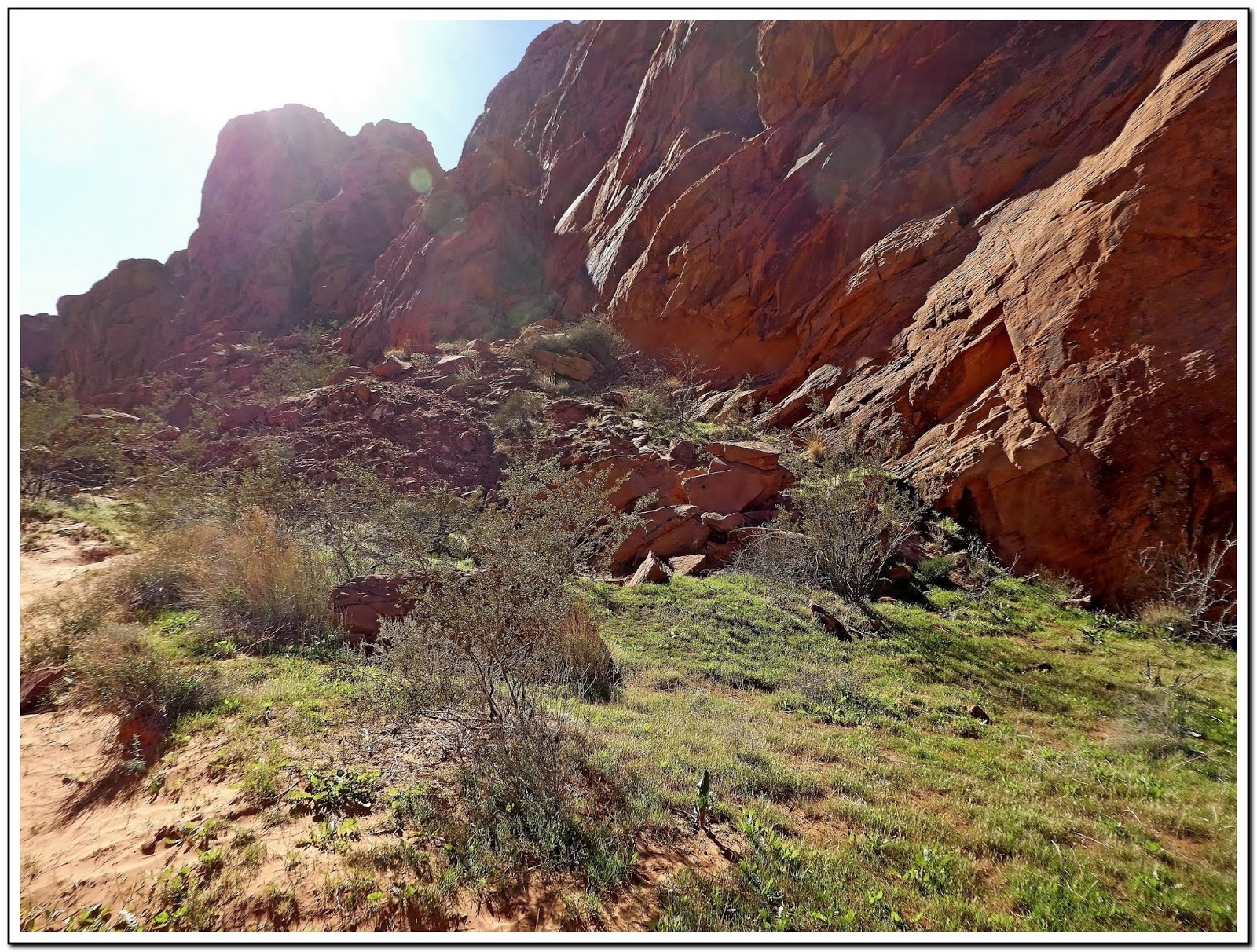 Ken's Photo Gallery: Logandale Trails Recreation Area - Summary Page