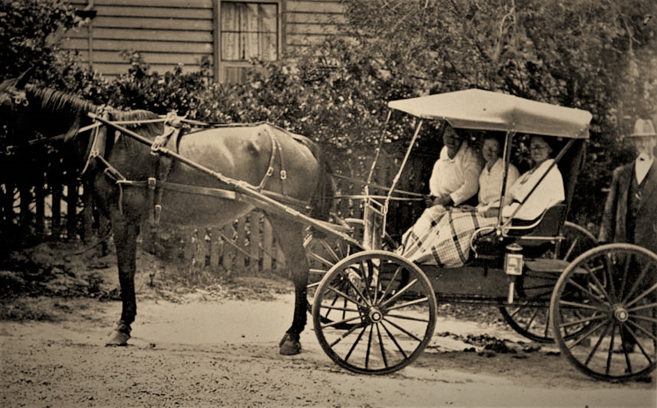 The Behrens Family: Minna