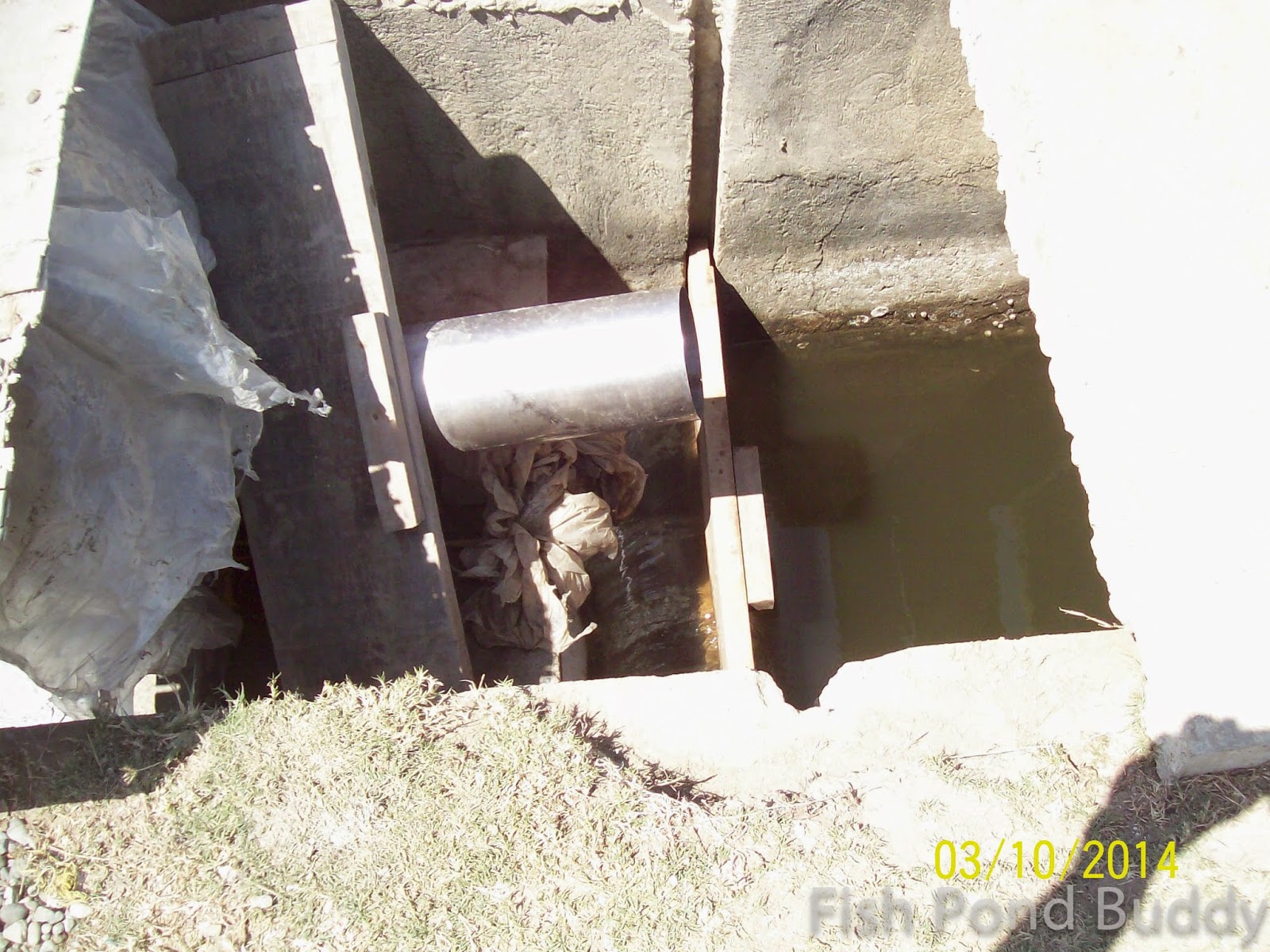 Fish Pond Buddy: Features of a Class A Bangus Pond