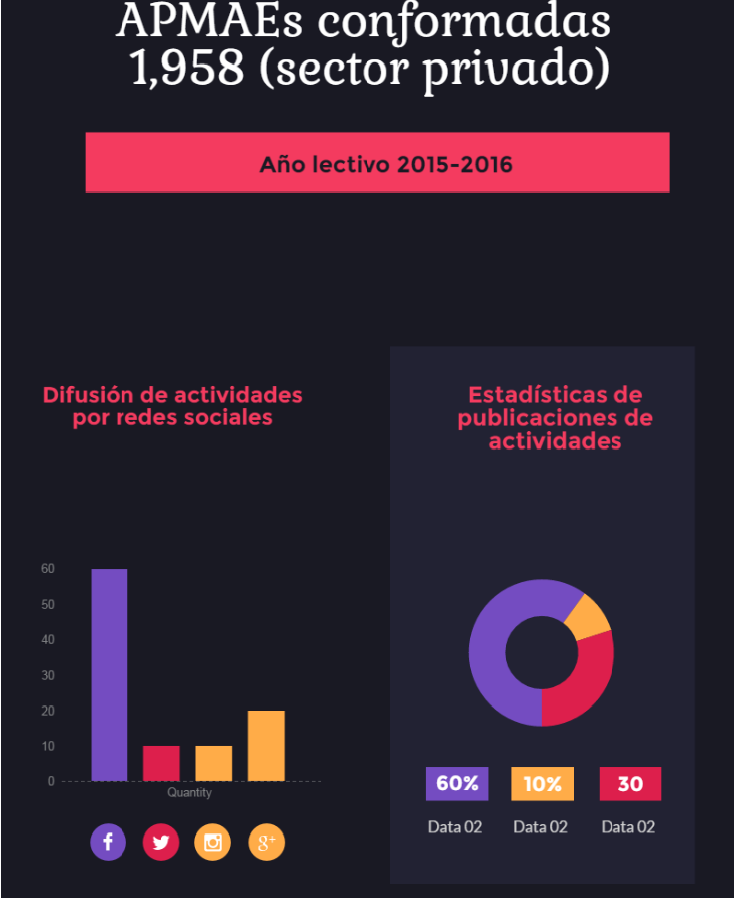 APMAE acción: APMAEs Conformadas (2015-2016)