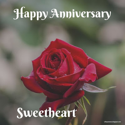 151+ Happy Anniversary Images And Photos Free | HD IMAGES