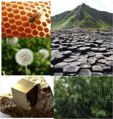 CLASE N°4: FORMAS NATURALES Y ARTIFICIALES ( burbuja A y B) | 3° GRADO IPMB