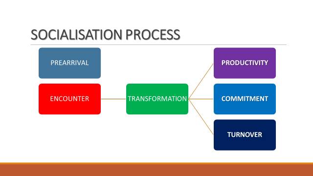 ECONOMICS,COMMERCE AND MANAGEMENT: ORGANIZATION CULTURE