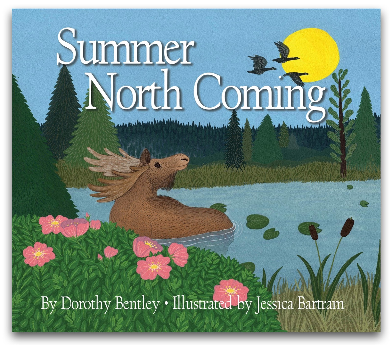 CanLit for LittleCanadians: Summer North Coming