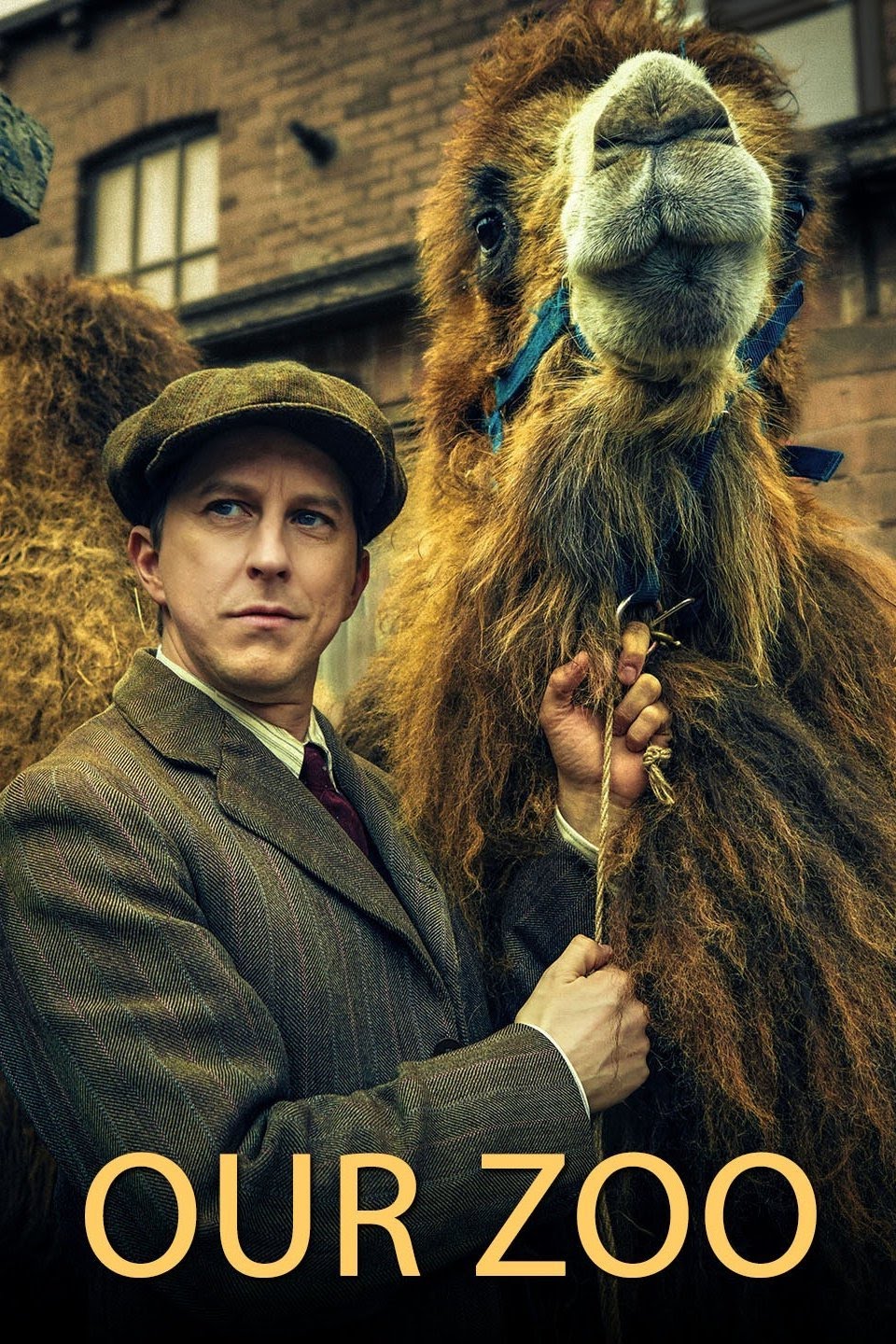 "Tweedland" The Gentlemen's club: Our Zoo Serie 1 //- VIDEO: Officiële ...