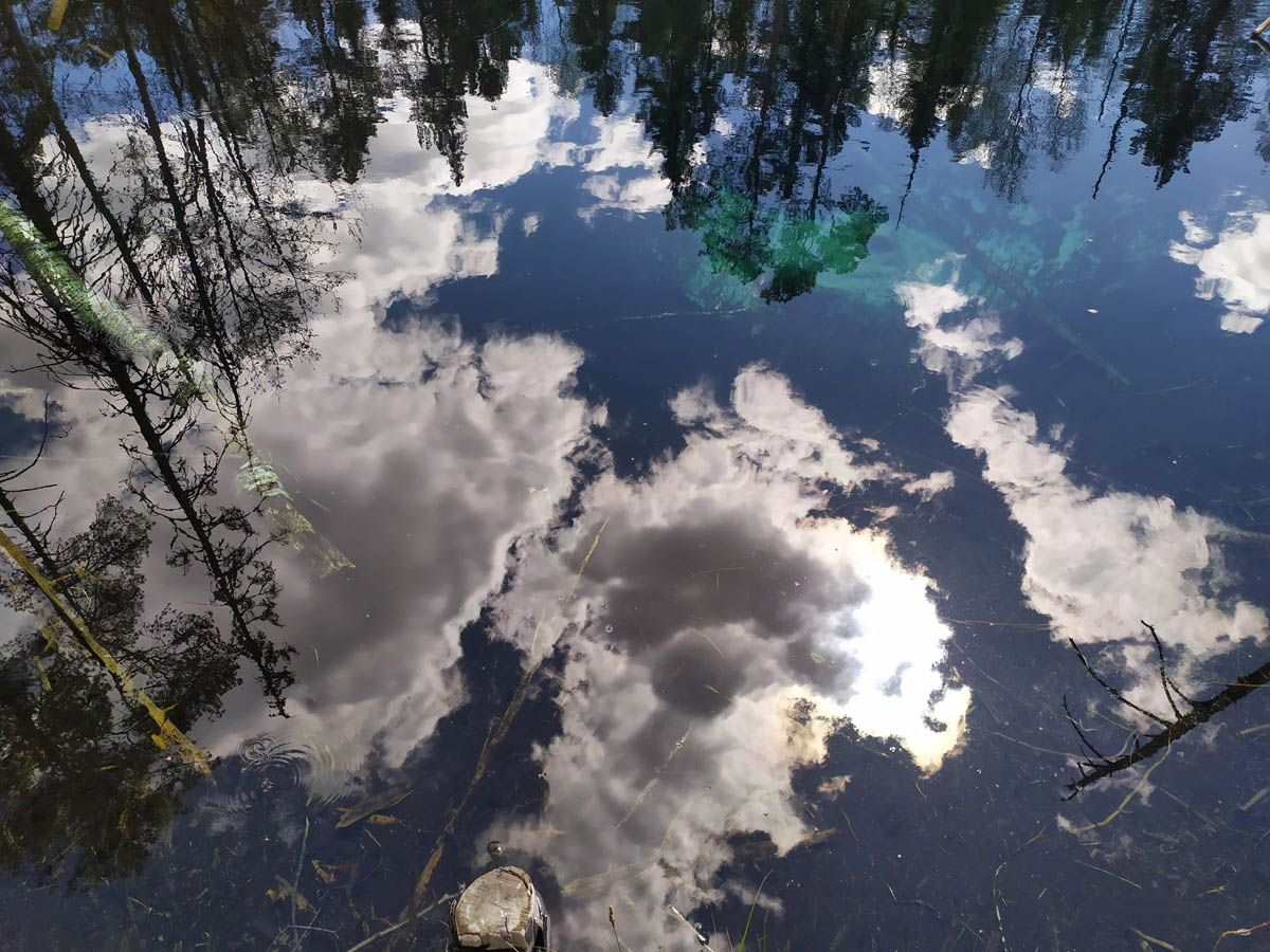 Päevik: Ring ümber Endla raba