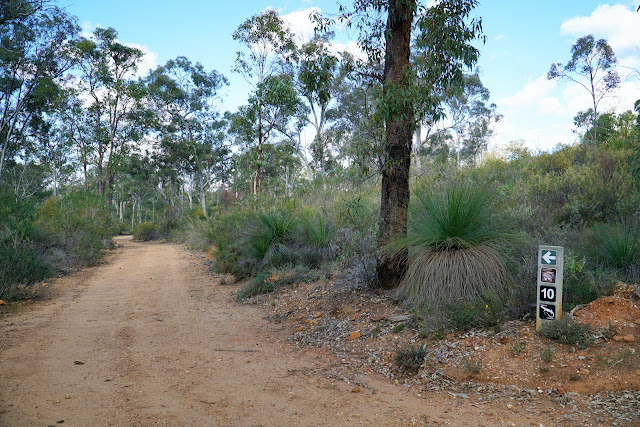 FR Berry Walk Trail (FR Berry Reserve) ~ The Long Way's Better
