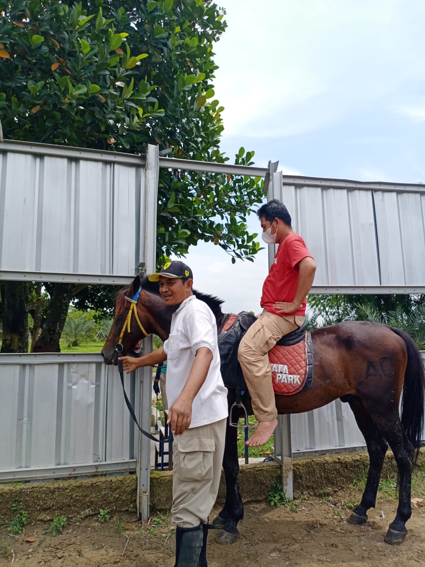 Yuk Belajar Menunggang Kuda