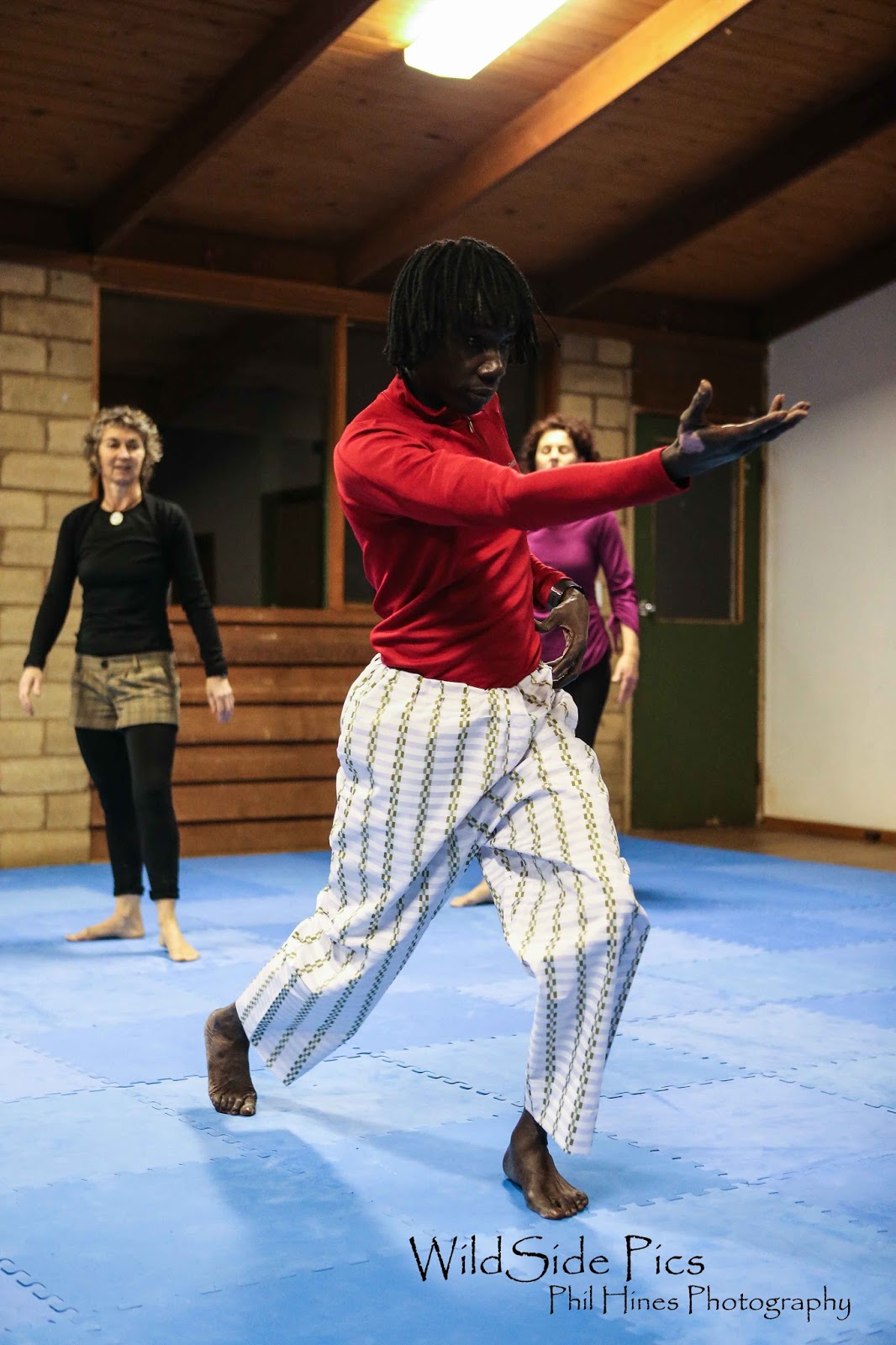 Wild Moves News and Upcoming Events