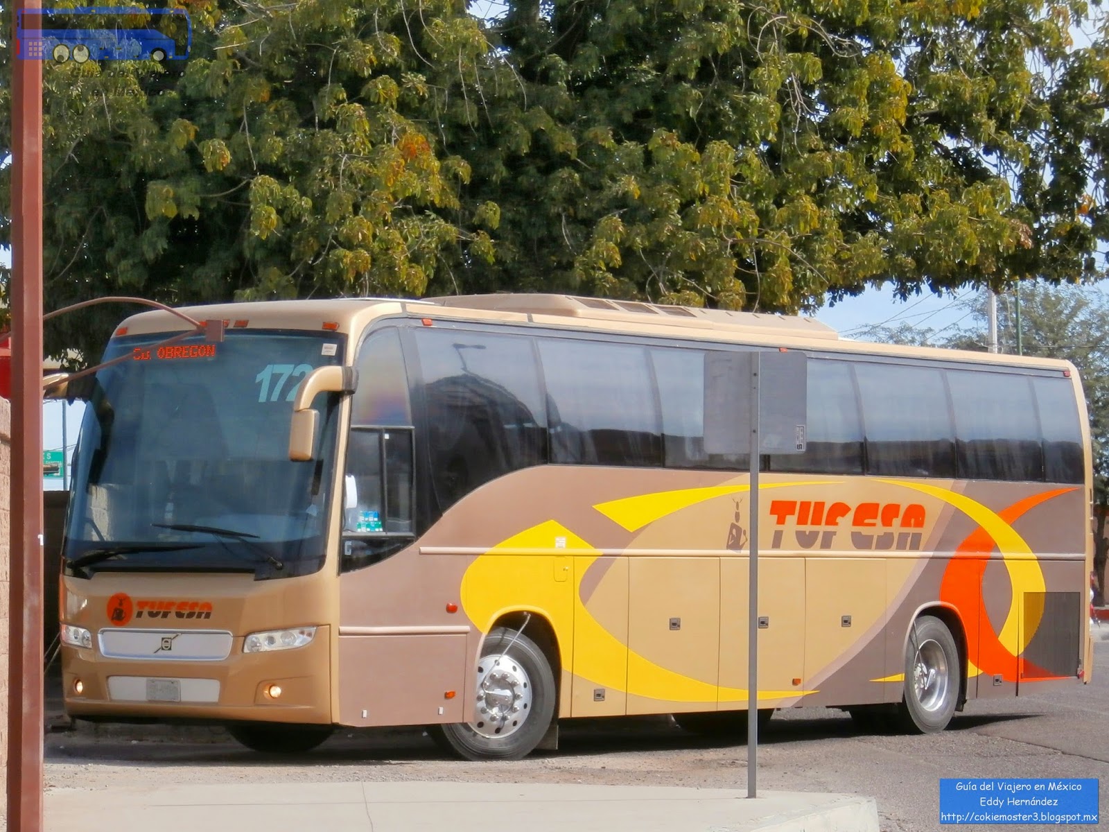 El autobús más bonito