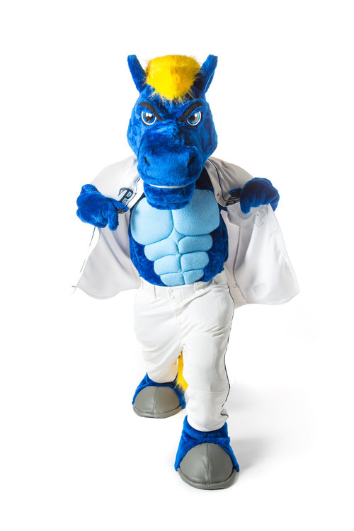 The Joy of Dumb College Mascots