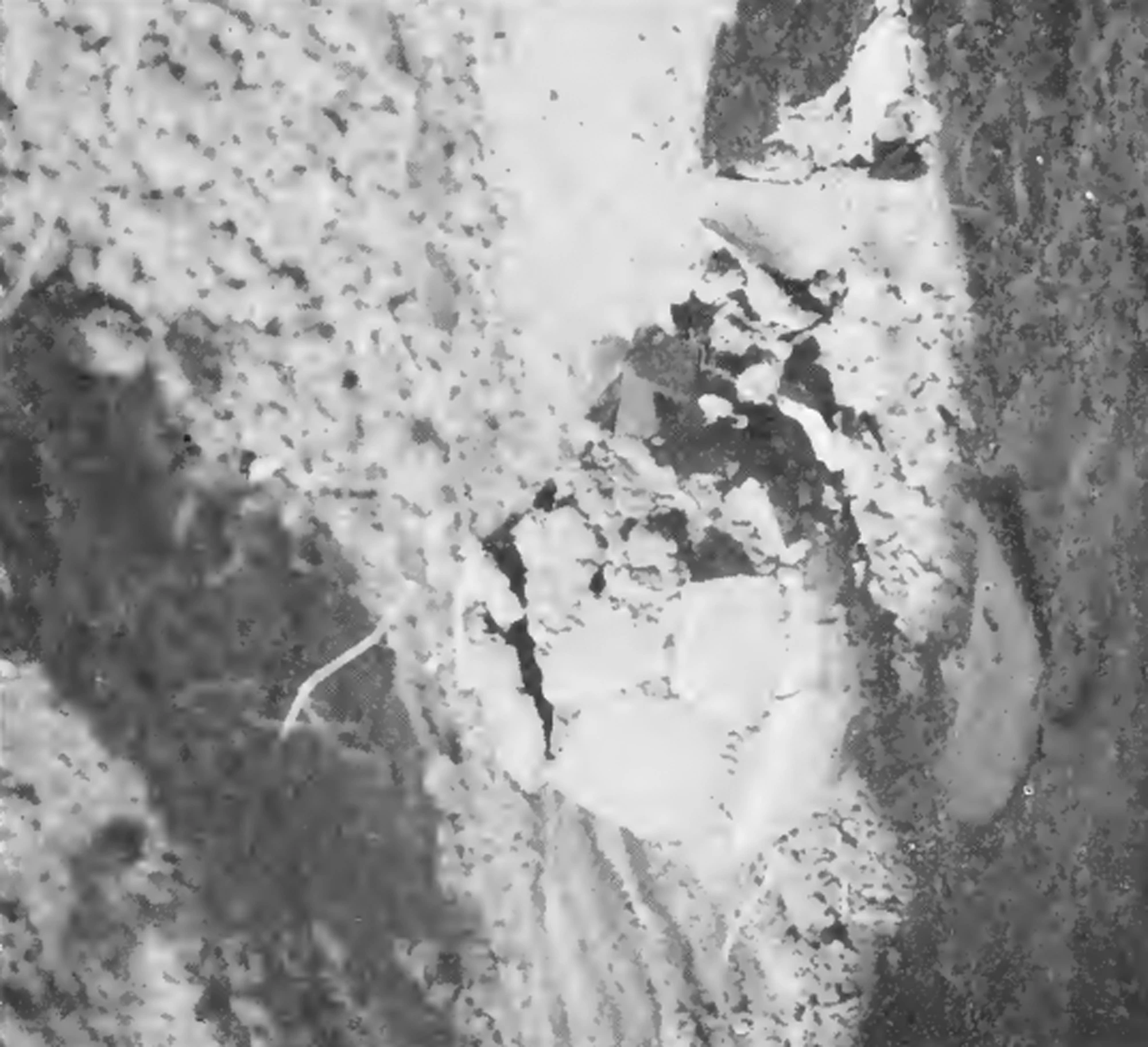 [PHOTOS] Early Archeological Excavations in Calatagan, Batangas ...