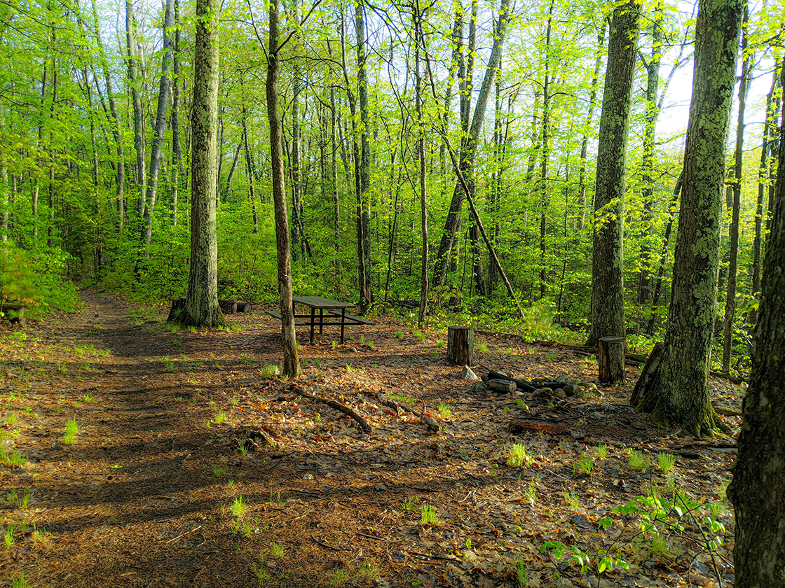 Hiking the Escanaba Lake Trail in Vilas County