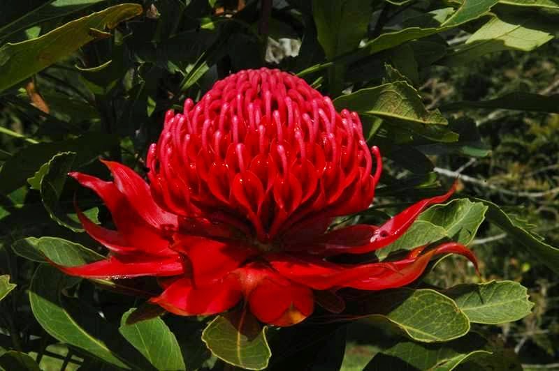 The Nature of Robertson: 2014