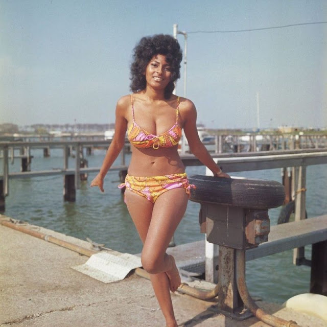 28 Stunning Photos of Pam Grier in the 1970s ~ Vintage Everyday