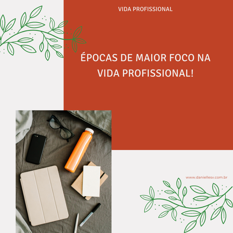 Épocas de maior foco na vida profissional