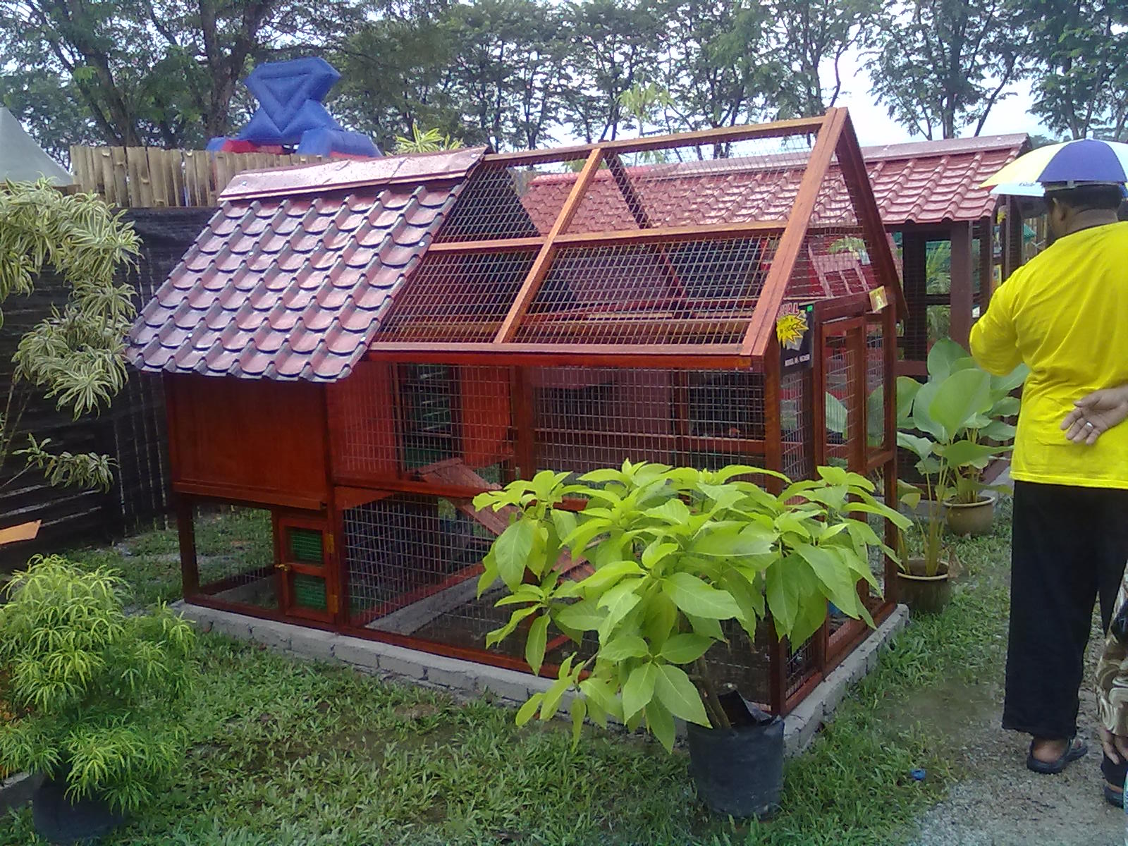 UNGGAS KOTA: Reban ke Bunglow ayam nihhh