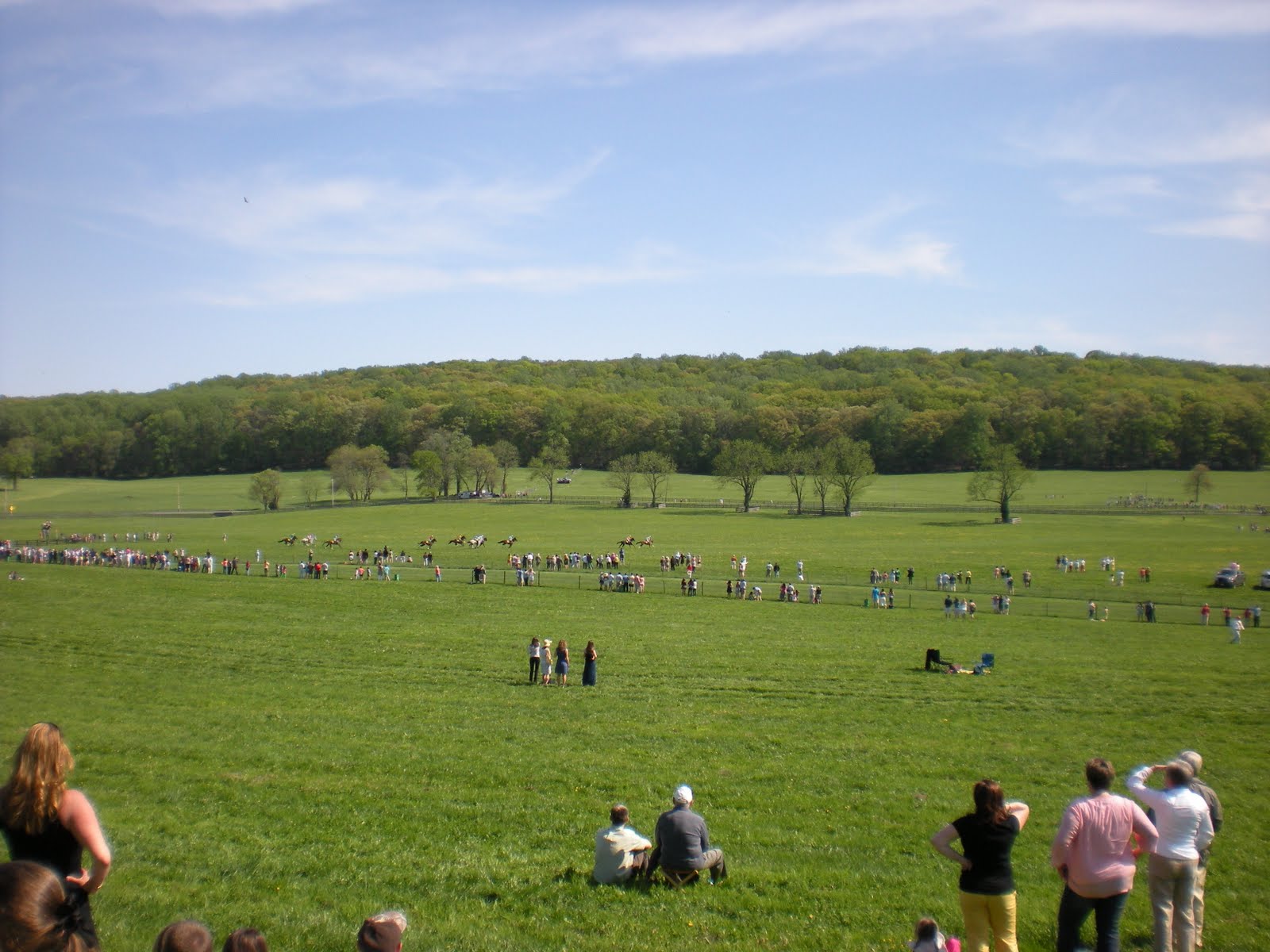 Maryland Magnolia: May 13, 2011