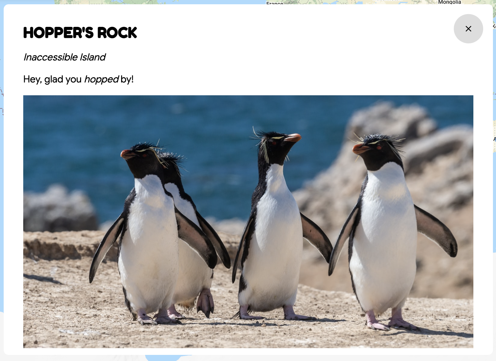 The Library Voice: Go On A Virtual Field Trip With Hopper The Explorer ...