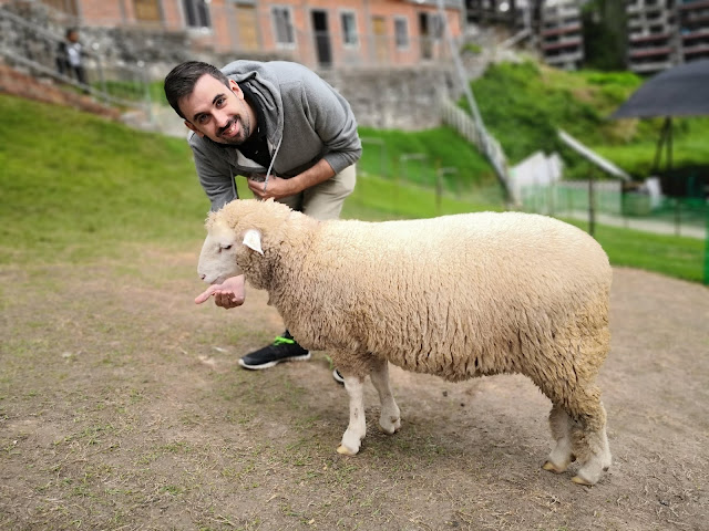 THE SHEEP SANCTUARY, CAMERON HIGHLANDS - Hi5 the world