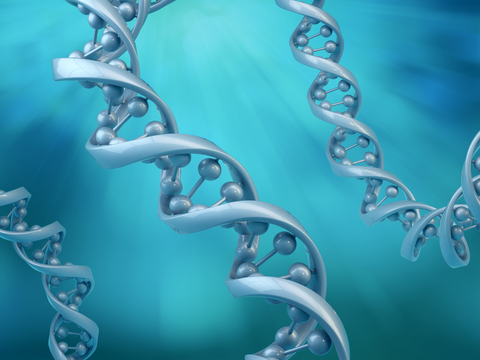 A magic bullet or a better life? ~ Special needs disability parenting BLOOM