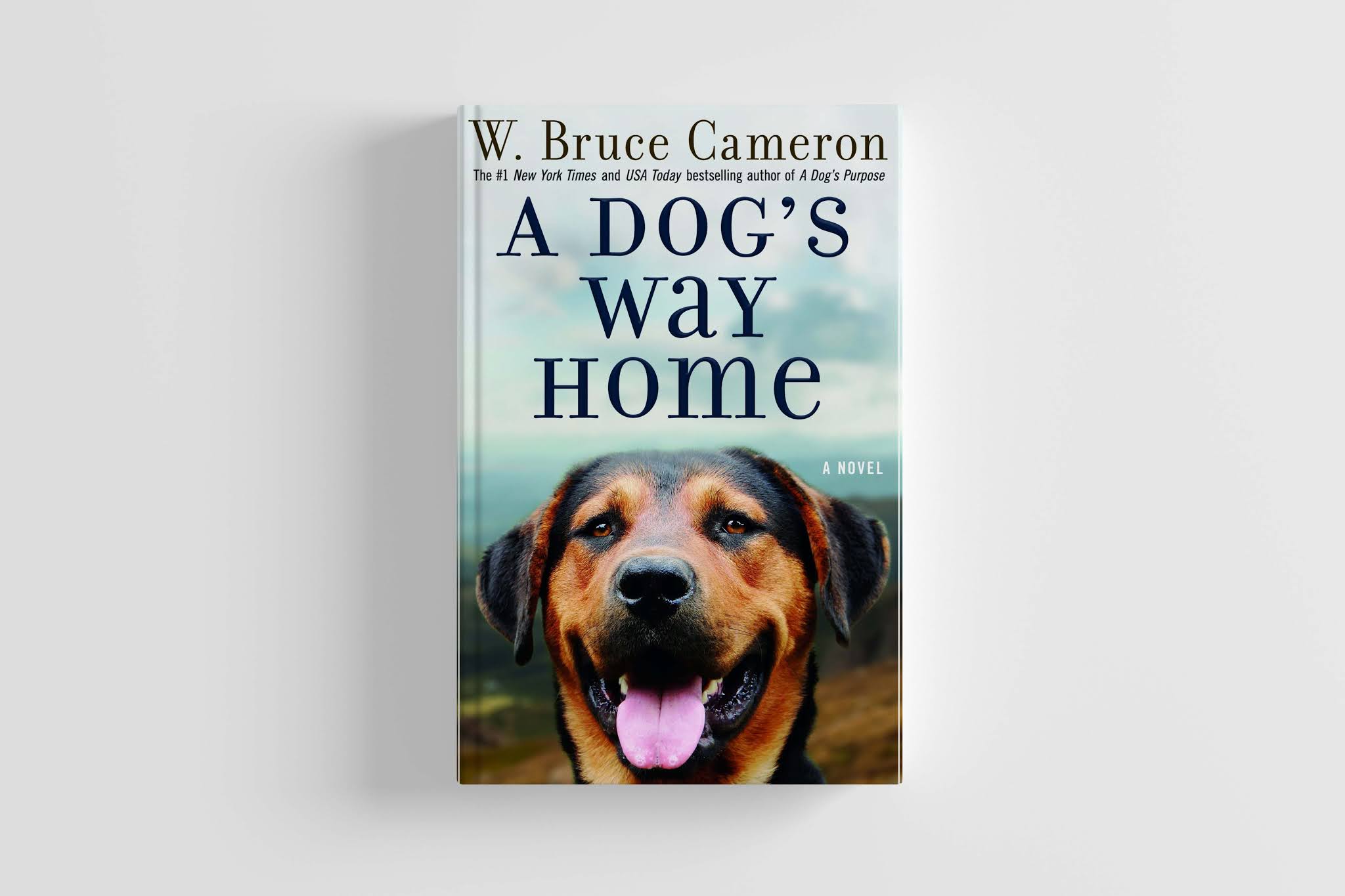 Dog Related Book Cover Design | All New Job Circular and Educational News