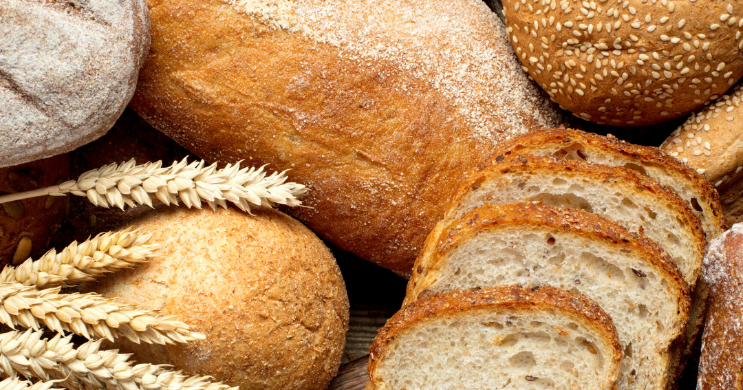 Dr. Brandon Heath: Wheat Belly by Dr. William Davis