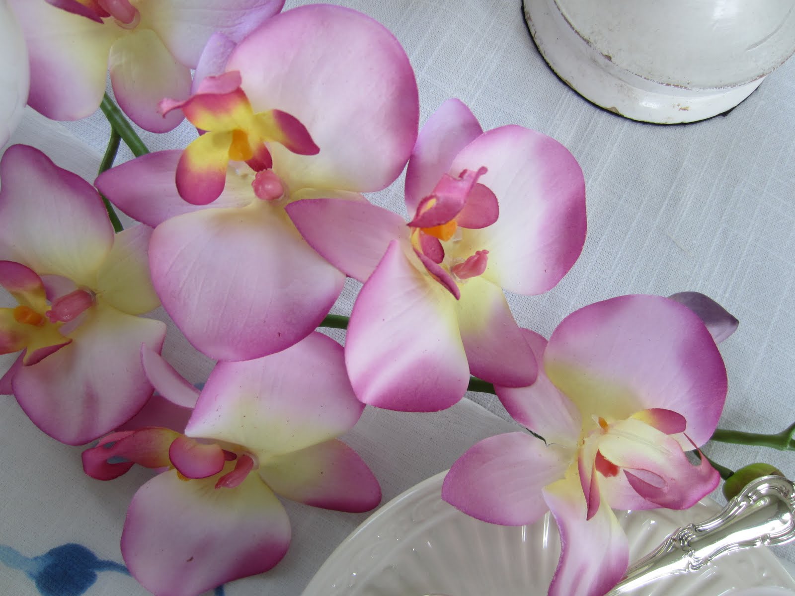 Cheerful Afternoon Tea Table - Calypso in the Country