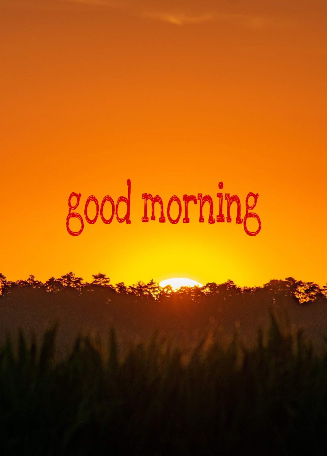 30+ Good Morning And Good Night Images For Free