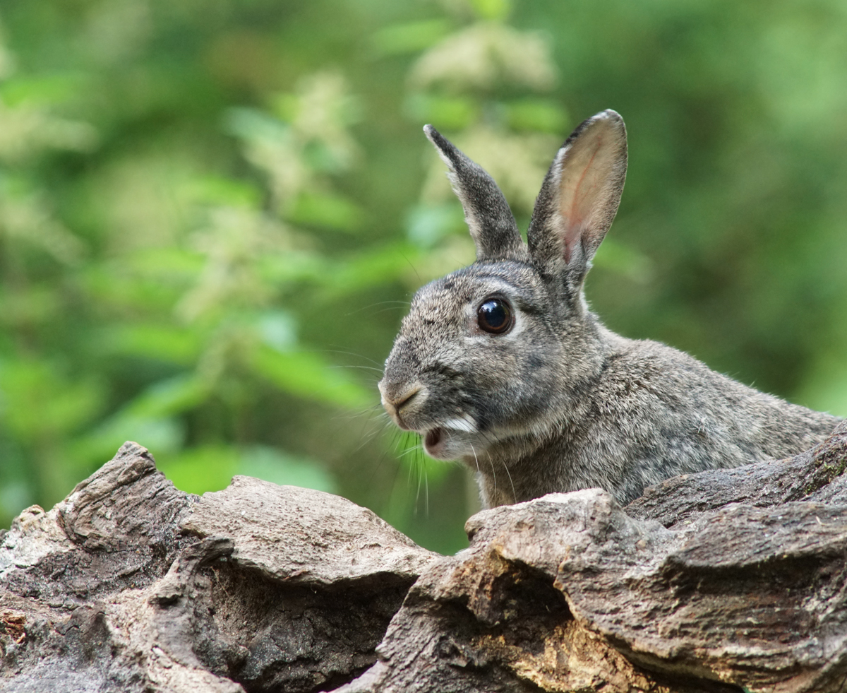 De wereld door mijn lenzen: Fotohut Drunen Deel II