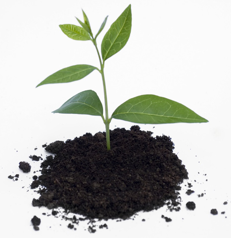 Two Men and a Little Farm: COMPOSTING 101 WHAT NOT TO PUT IN YOUR COMPOST