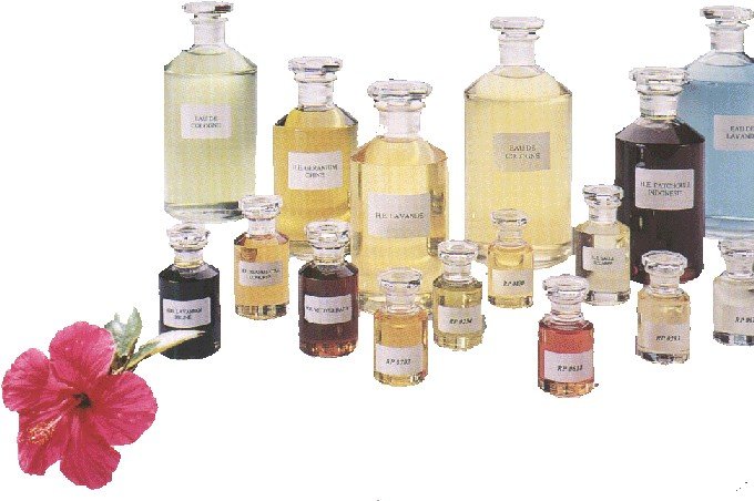 Only You: Ingredientes perfumería