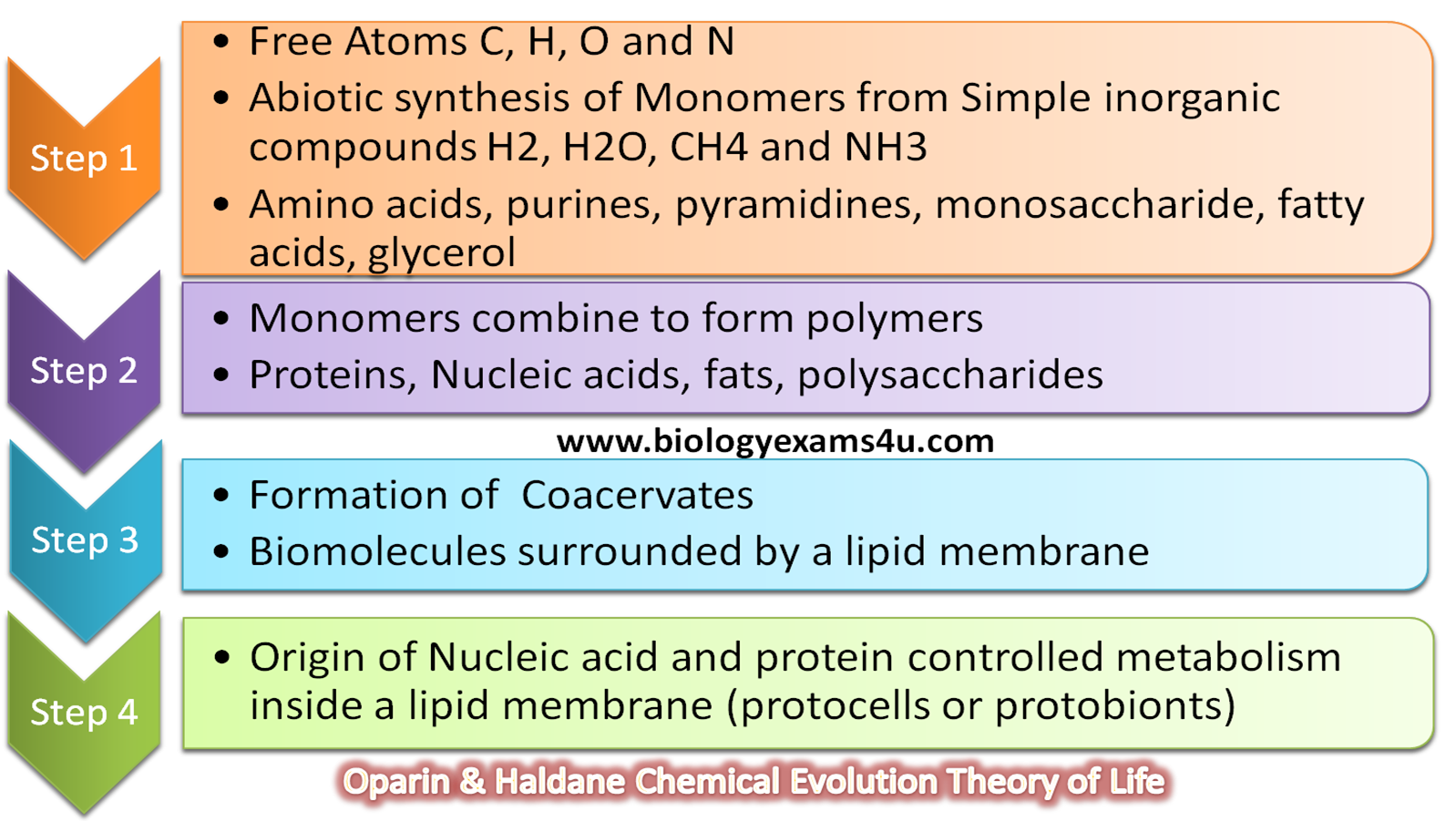 Oparin Haldene Theory of Chemical evolution explained in 4 stages