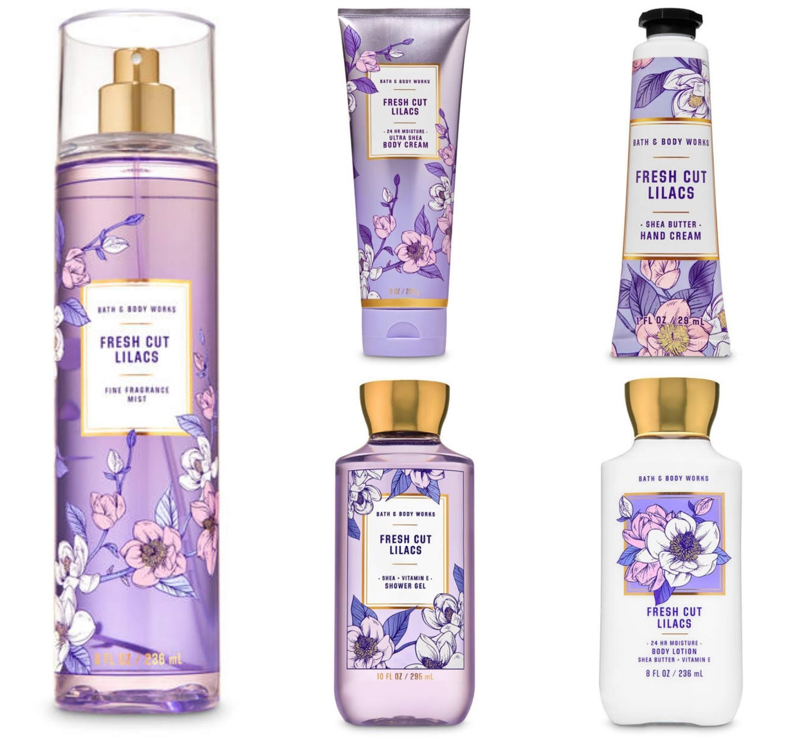 Life Inside the Page: Bath & Body Works | New Bold Blooms Signature Body Care Collection ...