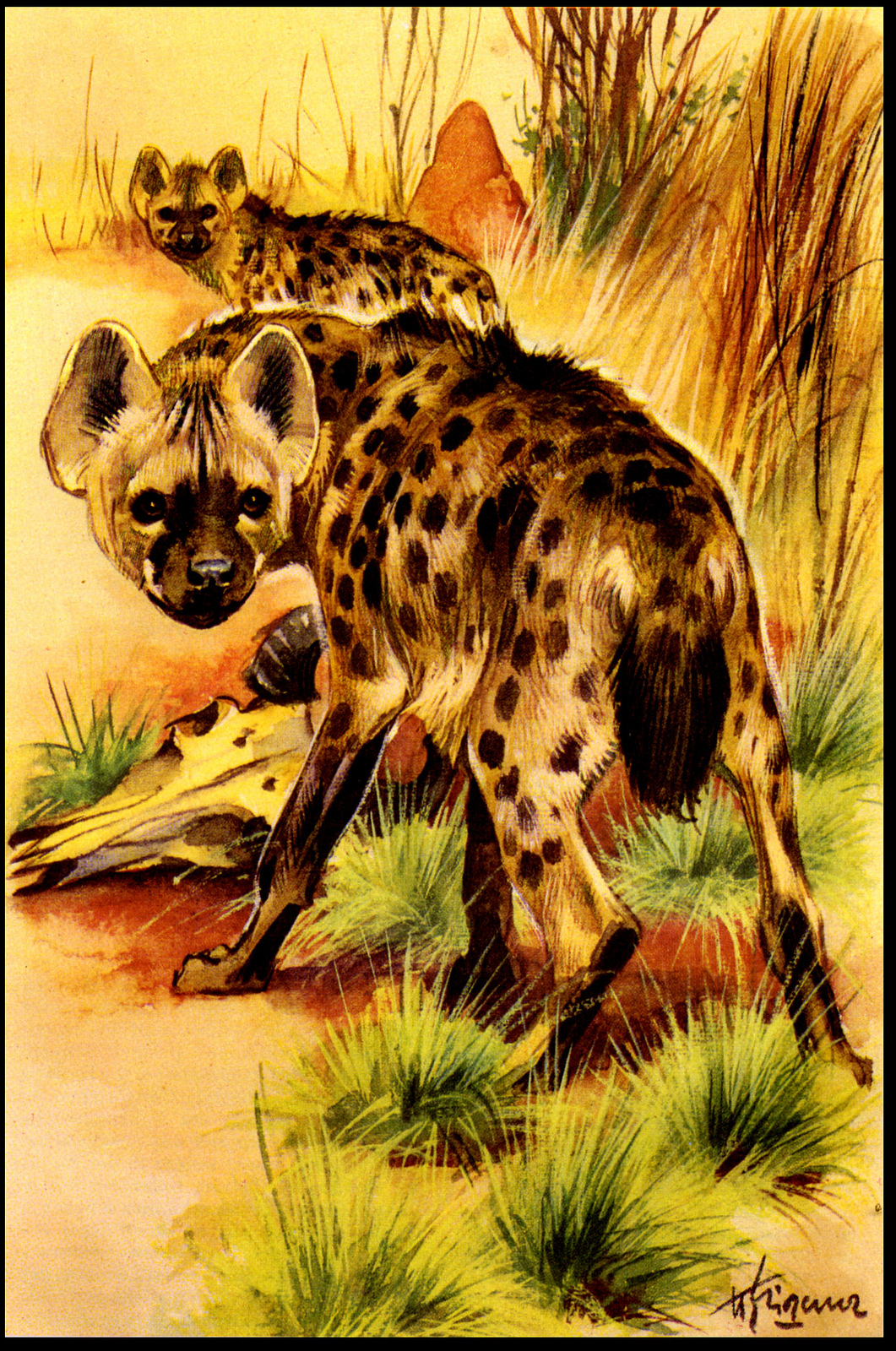 Saved From The Paper Drive: Wildlife by Wilhelm Eigener