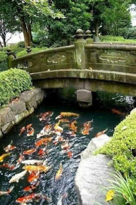 47 Beautiful Fishpond Design for Backyard | ARA HOME