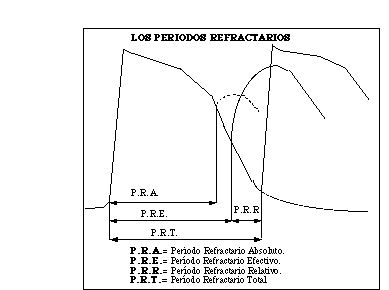 Understand to learn: Resumen semana 2