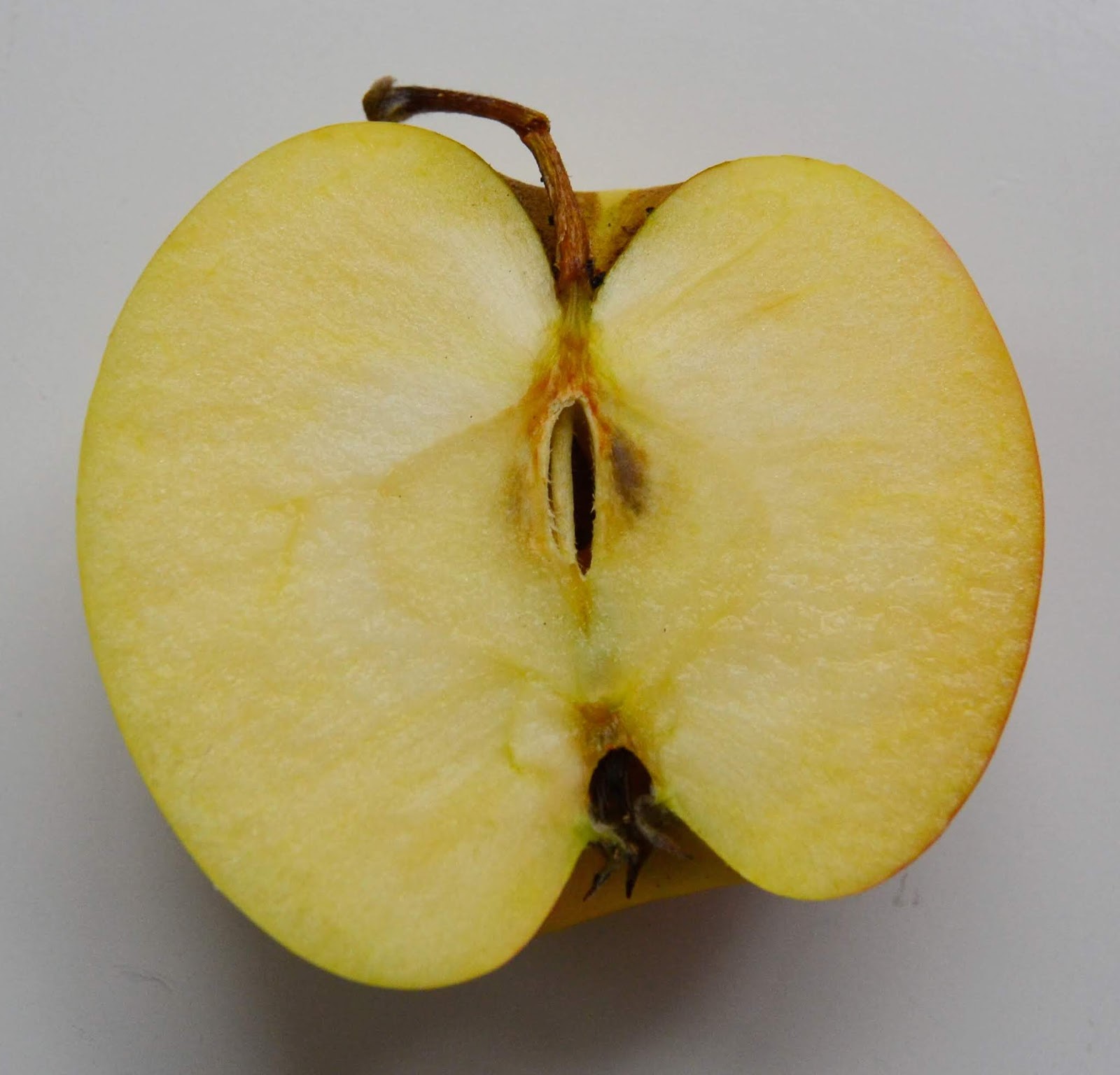 An apple a day keeps the doctor away…