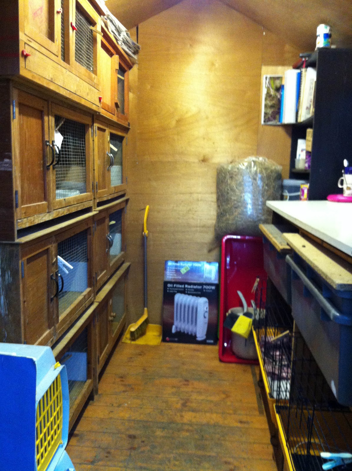 The Hedgehog Shed: Behind The Scenes