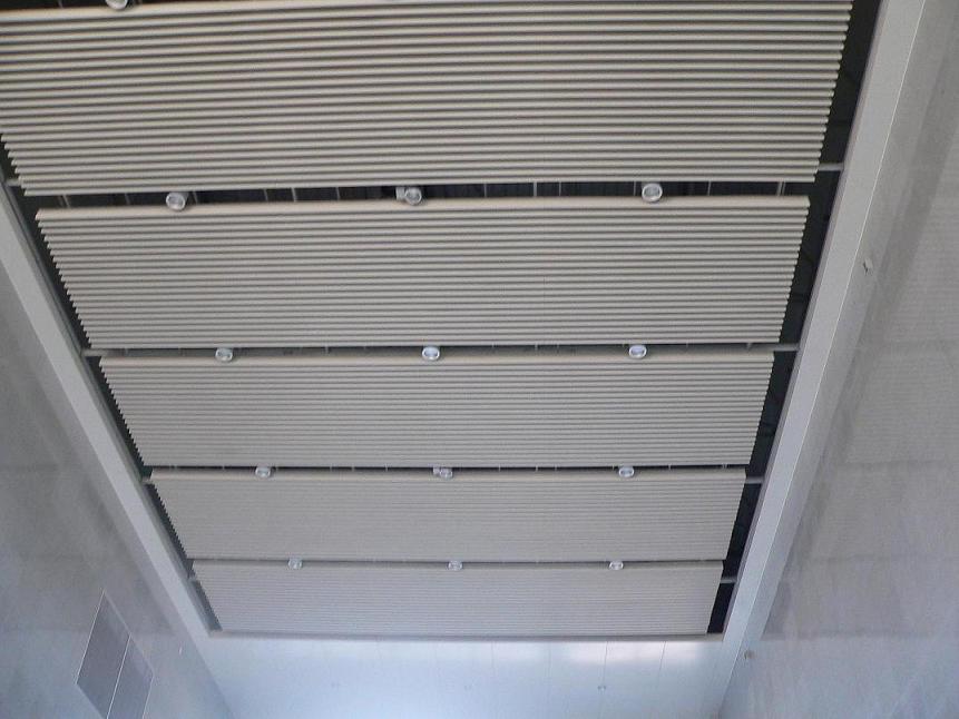 Strip ceiling: non-standard ceiling black,new black non-standard ...