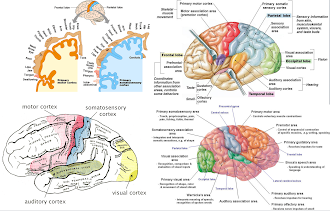 Welcome [mlearnx.blogspot.com]